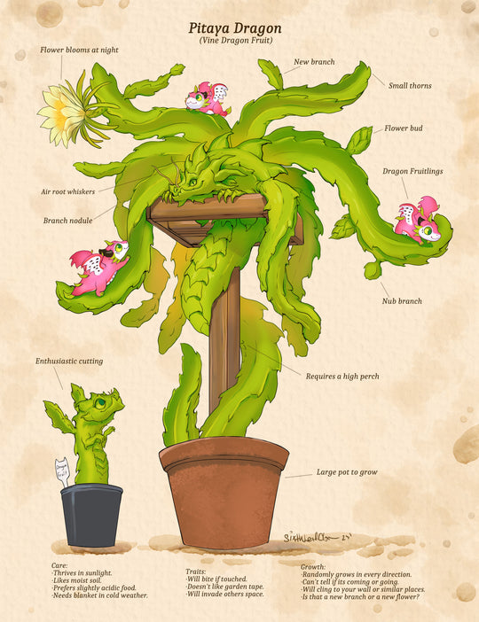 Pitaya Dragon [Digital] – SixthLeafClover Studios